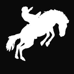 Balancing Act Decal – Country Barn USA